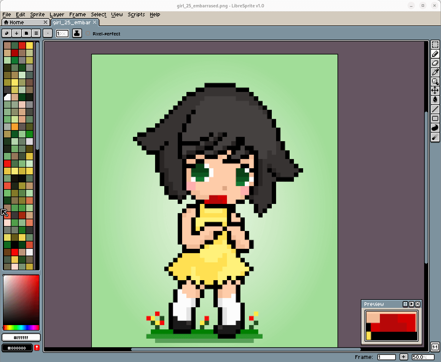 LibreSprite - create 2D animations for videogames - LinuxLinks