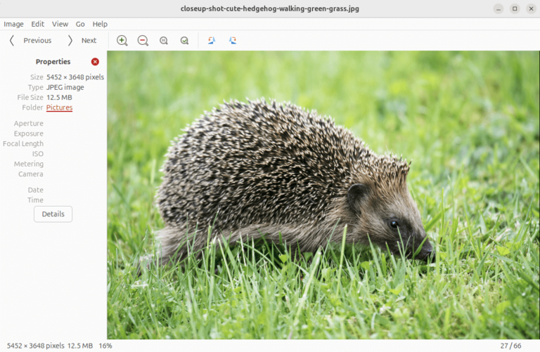 Eye of MATE - simple graphics viewer for the MATE Desktop Environment - LinuxLinks